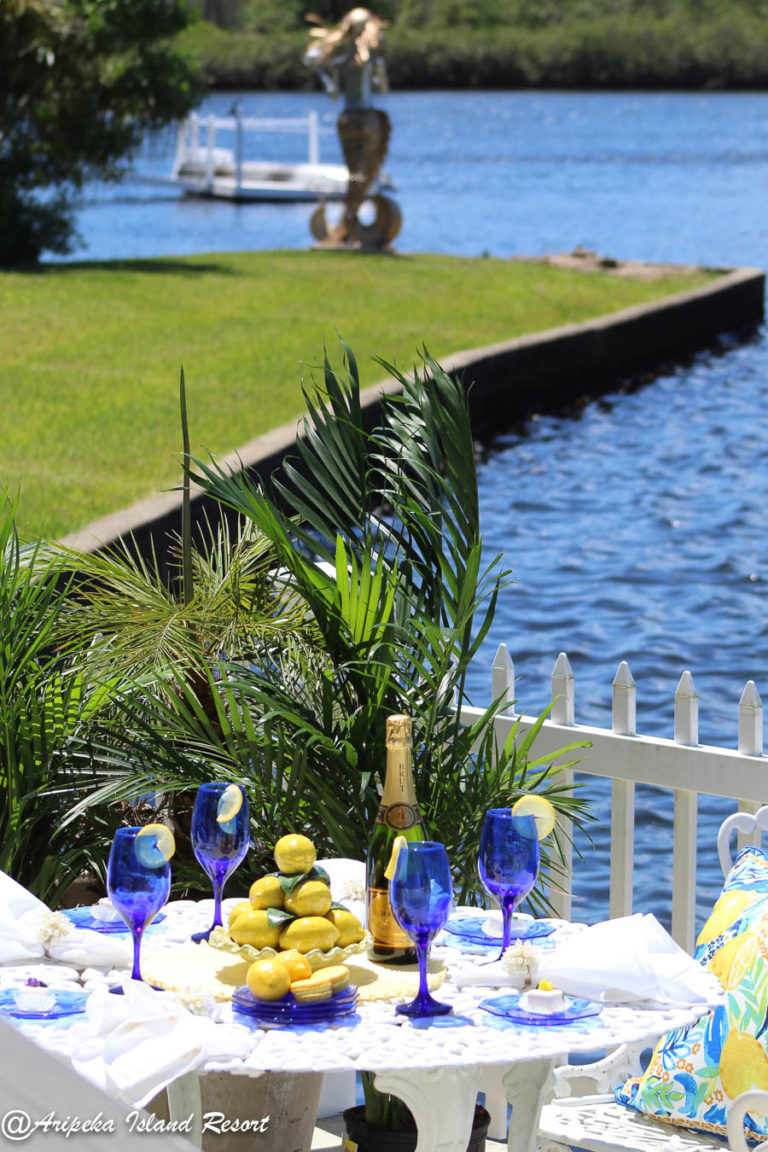 aripeka island resort florida -7 – Aripeka Island Resort